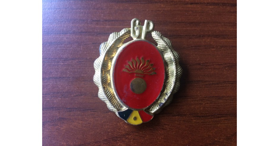 Insigna garzi patriotice infanterie GP romania RSR comunista epoca de ...