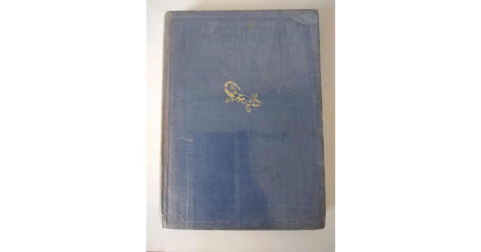 BIOLOGIE TEORETICA - VICTOR PREDA (EDIȚIE RARA), SIBIU 1944 | Okazii.ro