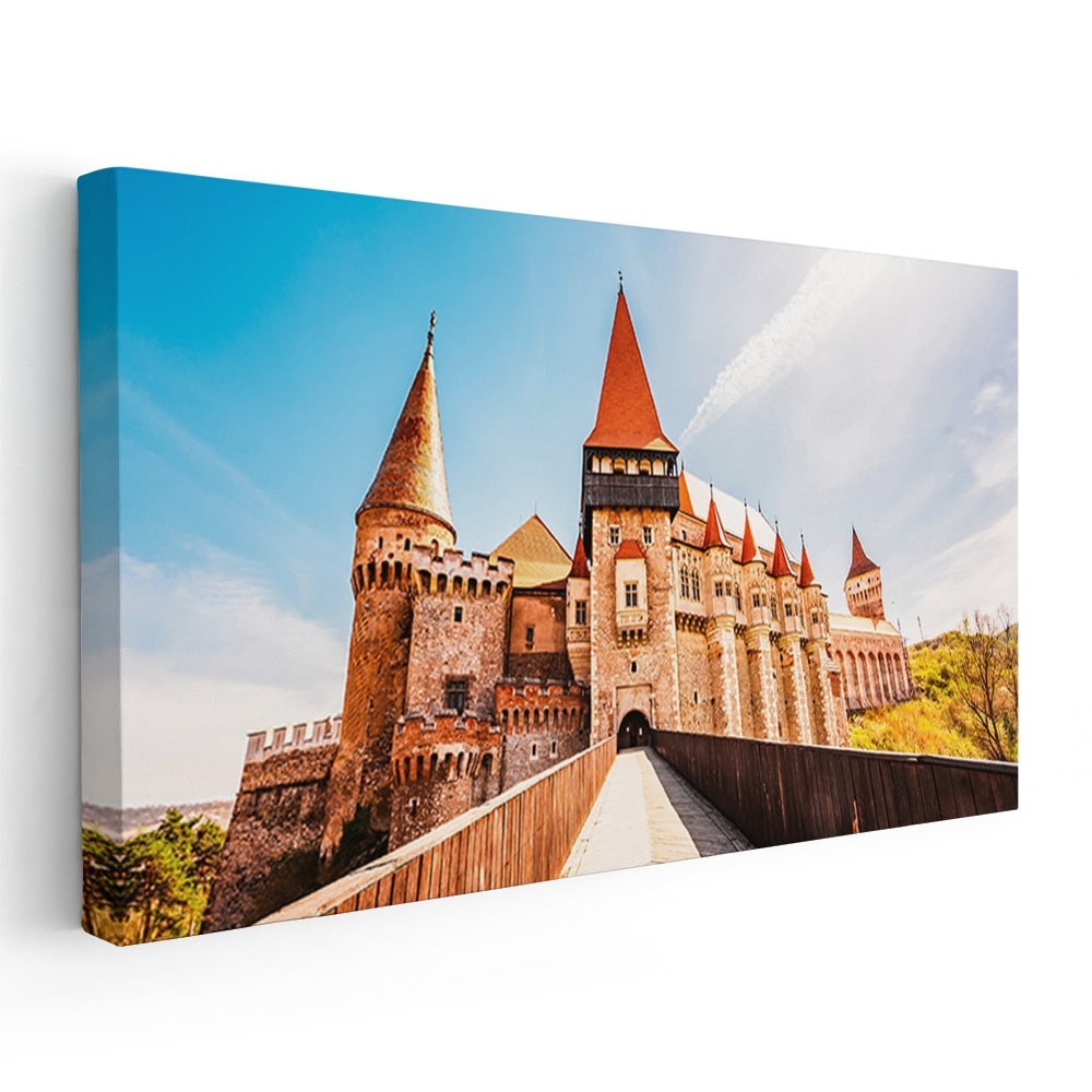 Tablou Castelul Corvinilor Hunedoara 1836 Poster imprimat pe hartie ...