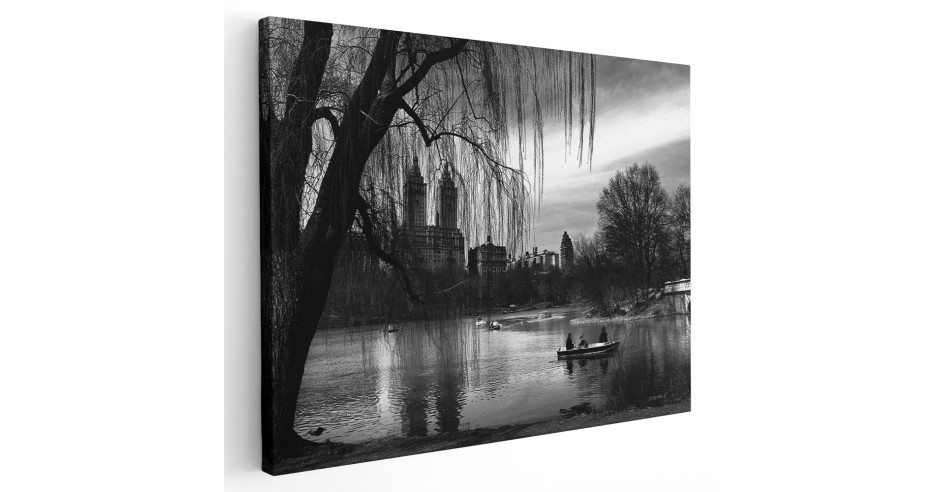 Tablou Central Park New York USA alb negru 1541 Poster imprimat pe ...