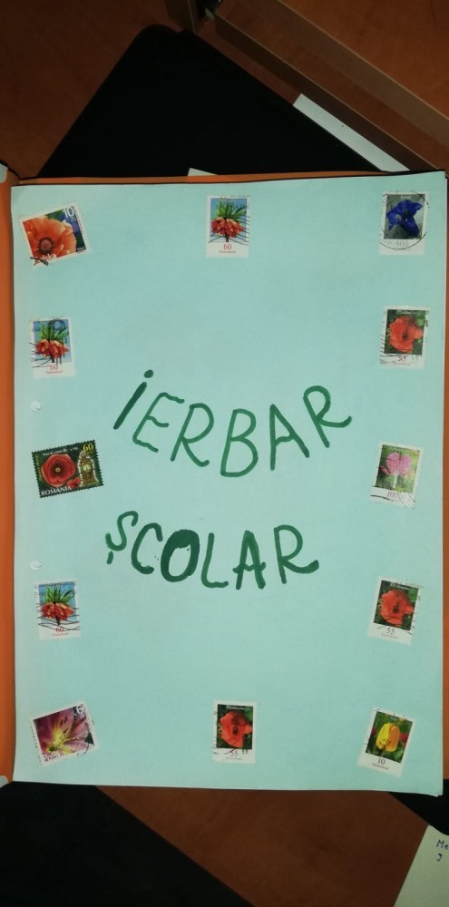 Ierbar scolar 23 specii | arhiva Okazii.ro