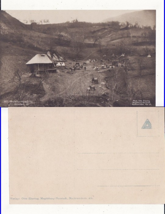 Pasul Turnu Rosu , Boisoara (Valcea) -militara, WWI, WK1-foto Otto ...
