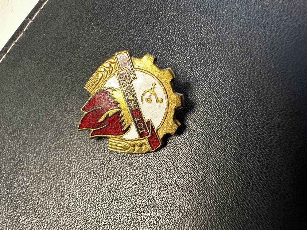 Insigna Pionier tot inainte | Okazii.ro