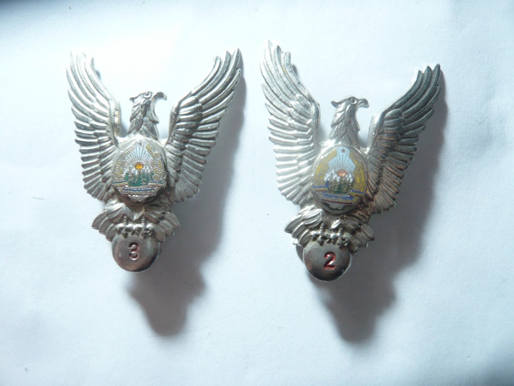 2 Insigne Militare Aviatie - Vultur - Pilot RSR clasele 2 si 3 , h=6cm ...
