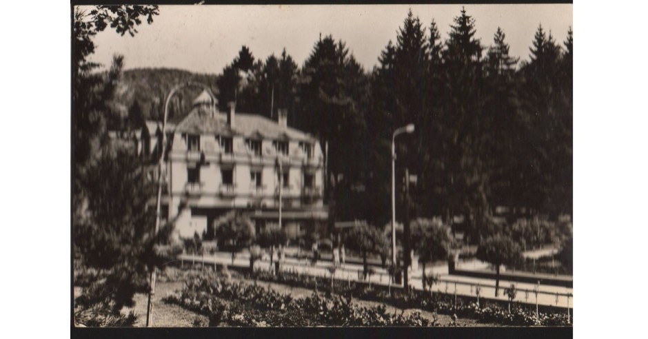 CPIB 21131 CARTE POSTALA - SOVATA. VEDERE DIN STATIUNE, Circulata ...