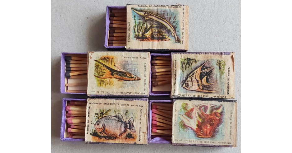 Pesti - lot 5 cutii de chibrituri romanesti din lemn anii 70 | arhiva ...