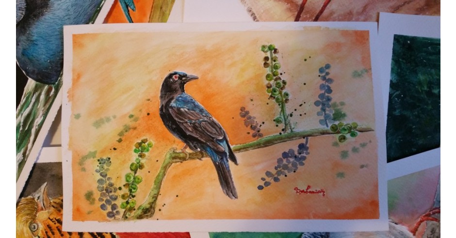 Acuarela pasare exotica cu ochi rosii, Pasari, Realism | Okazii.ro