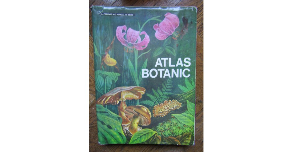LUCIA POPOVICI--ATLAS BOTANIC 1993 (format mare CARTONAT) | arhiva Okazii.ro