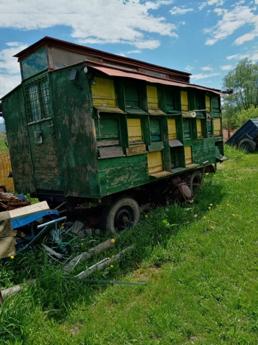 Pavilion apicol | Okazii.ro