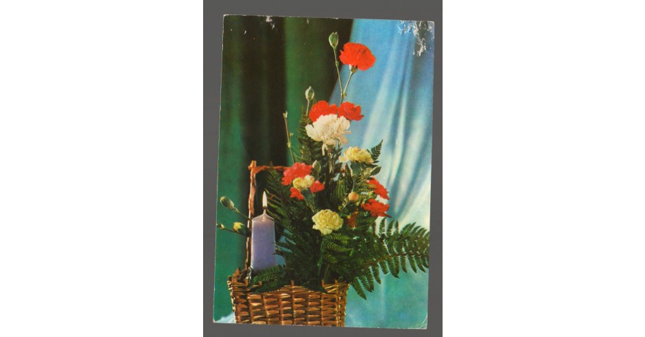 CPIB 20212 CARTE POSTALA - ANIVERSARE, GAROAFE, SERE CODLEA | Okazii.ro