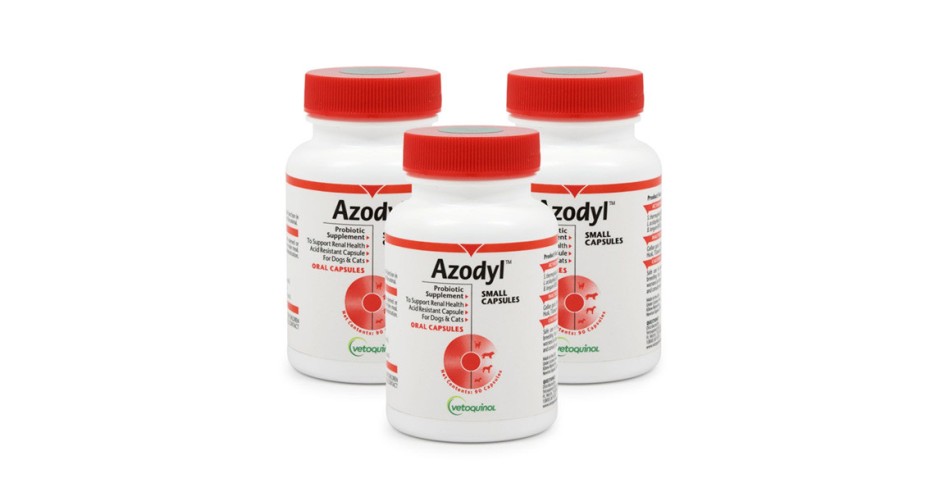 Azodyl - supliment pentru insuficienta renala la caini si pisici ...