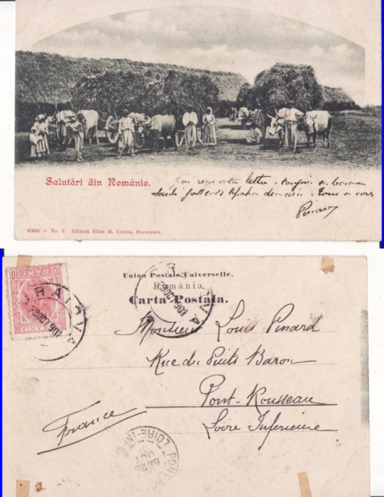 Tipuri din Romania- Stransul fanului-clasica, Circulata, Printata ...
