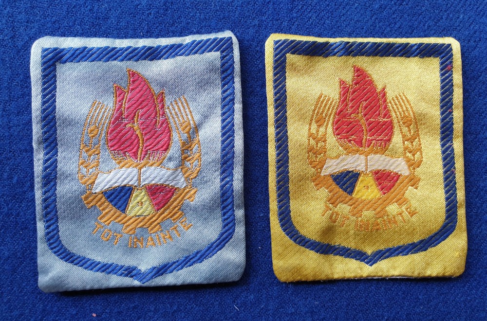 Emblema pionieri - pereche 2 variante - epoca de Aur - Ceausescu anii ...