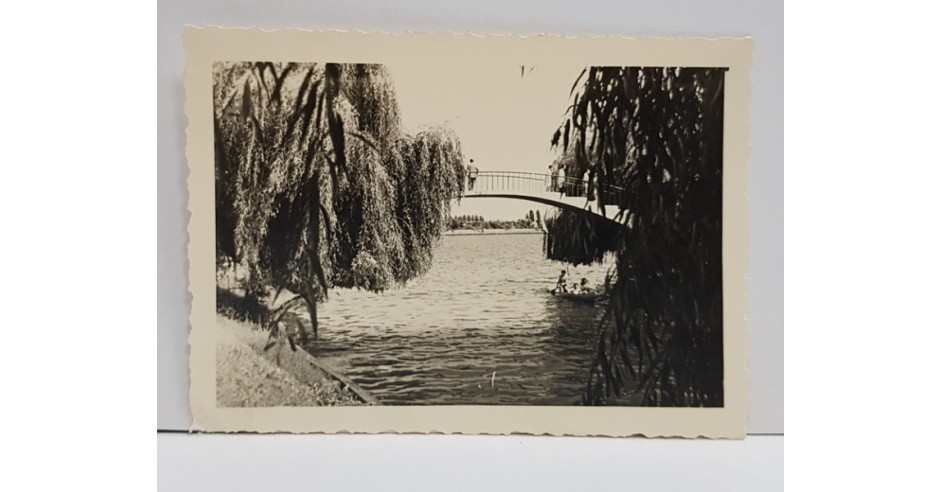 BUCURESTI , POD DIN BETON SI METAL PE LACUL HERASTRAU , STUDIO UNI ...