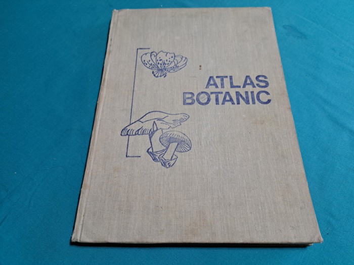 ATLAS BOTANIC / LUCIA POPOVICI, CONSTANȚA MORUZI /1985 * | Okazii.ro