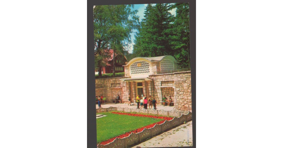 CPIB 23610 CARTE POSTALA - BORSEC, IZVORUL PRINCIPAL DE APA MINERALA ...