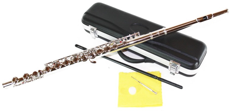 Flaut - preturi de la 132 Lei | Okazii.ro