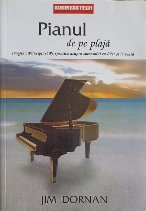 PIANUL DE PE PLAJA. IMAGINI, PRINCIPII SI PERSPECTIVE ASUPRA SUCCESULUI ...