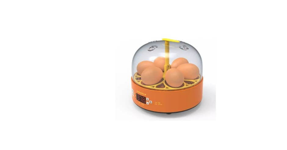 Incubator Intoarcere Automata Clocitoare 6 Oua Gaina Prepelite Pasari ...