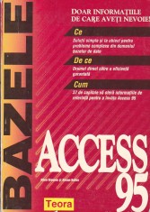 BAzele Access 95 de Allen Browne si Alison Balter | arhiva Okazii.ro