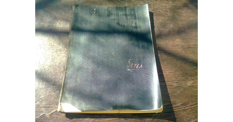 ALBUM FOTOGRAFII ORIGINALE DIN FILMUL SETEA DIN 1960 | arhiva Okazii.ro