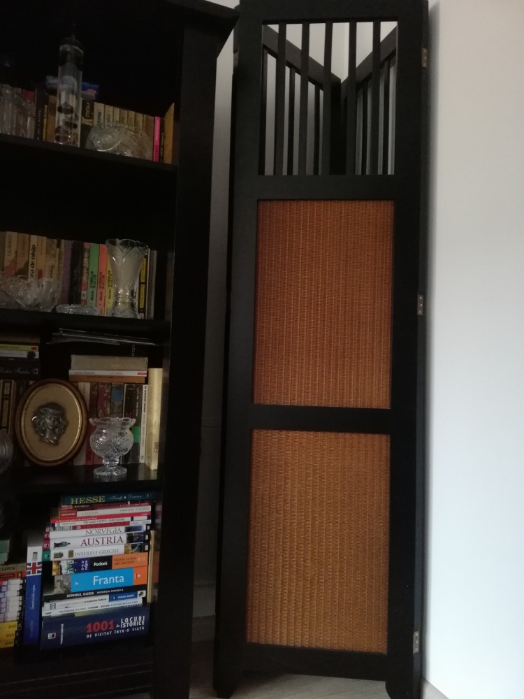 PARAVAN ORIENTAL DIN LEMN MAHON SI RATAN IN 3 PANOURI | arhiva Okazii.ro