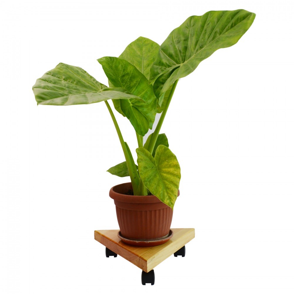 Suport din lemn cu roti pentru ghiveci de flori | arhiva Okazii.ro